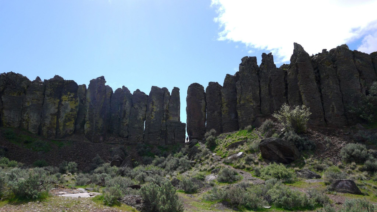 Northwest Naturalist